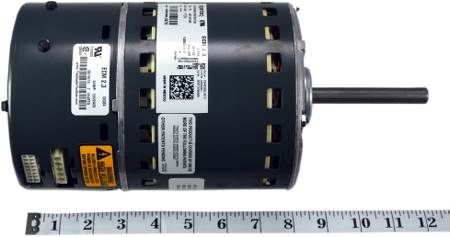 Blower Motor